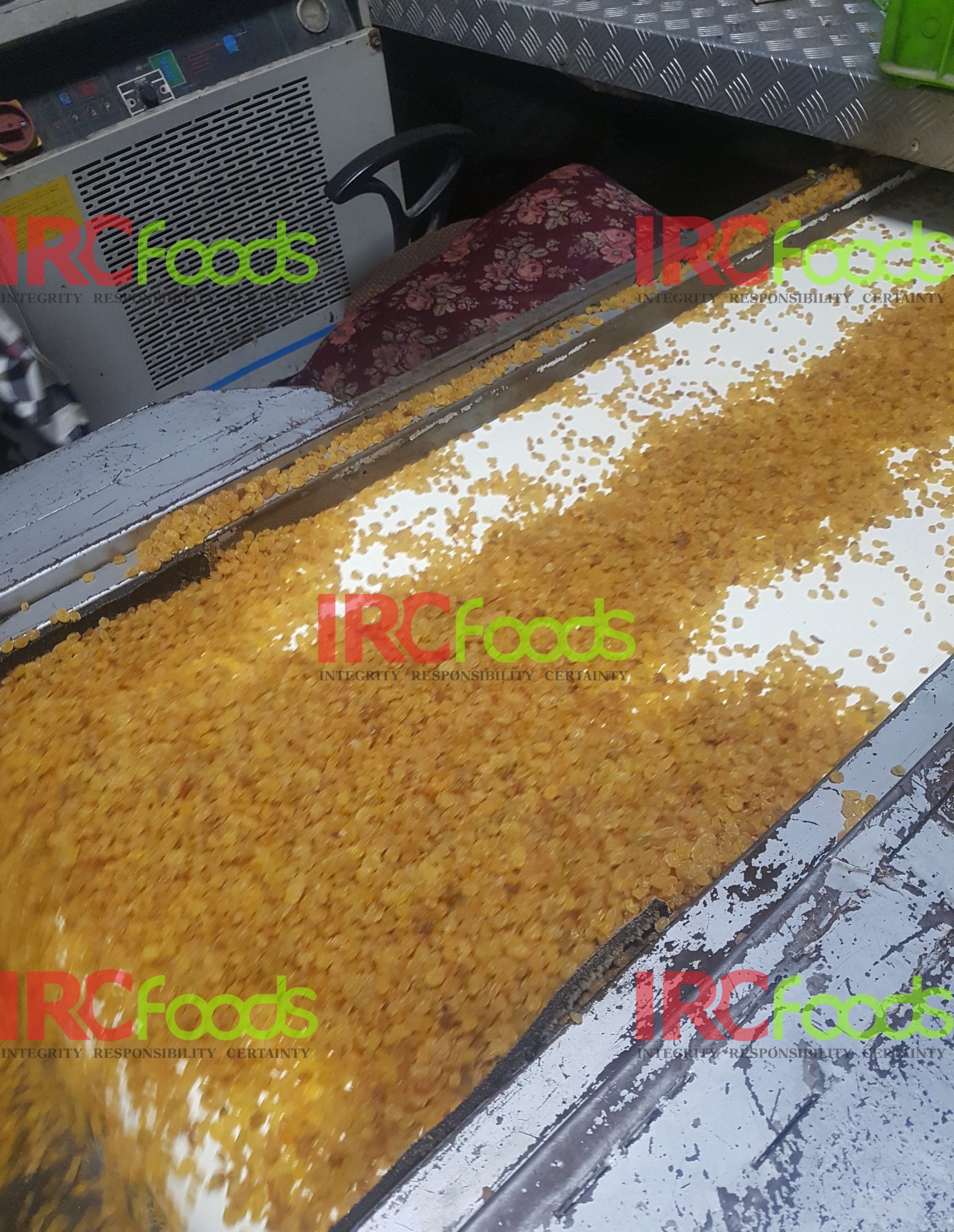 Our Factory - IRC Foods